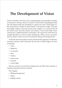 Eyegames: Easy and Fun Visual Exercises - Future Horizons